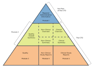 New Drug Development: Mastering The Modules Of The Common Technical ...
