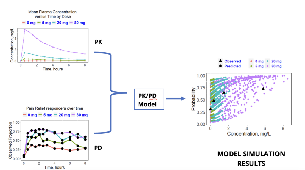 How To Streamline Drug Development Using High-Impact PK Modeling How To Streamline Drug Development Using High-Impact PK Modeling
